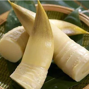 江西赣州于都大山野生新鲜冬笋现挖黄泥毛竹笋农家笋非冬笋包邮