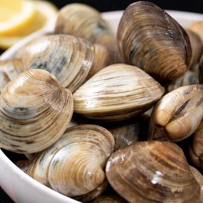 鲜活肥美蛤蜊美贝 煲汤涮火锅食材 5斤（加送海鲜酱料包）