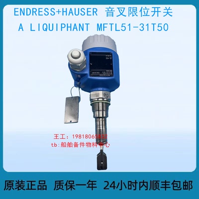 ENDRESS+HAUSER 音叉限位开关 LIQUIPHANT MFTL51-31T50