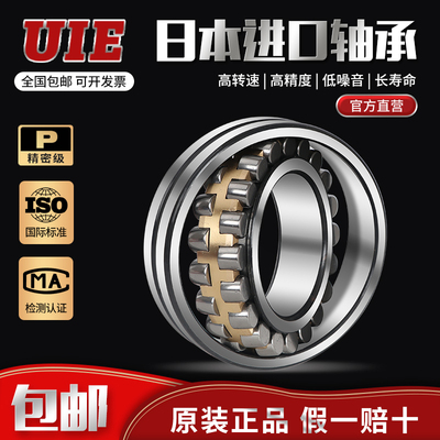 进口轴承21304 21305 21306 21307 CDE4 CAE4 CDKE4 CAKE4 C3