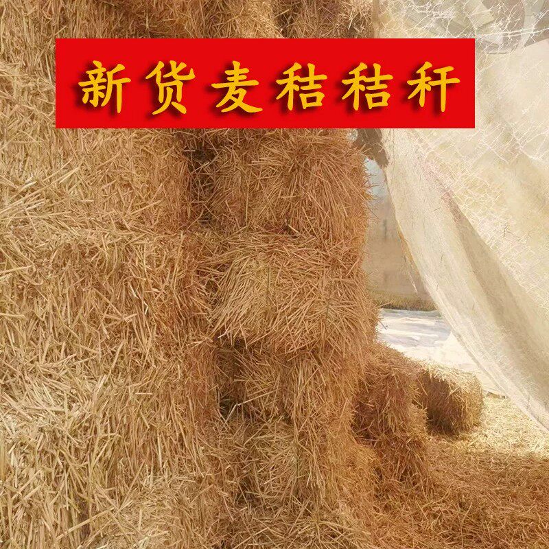 小麦秸秆宠物鸡窝草牛羊食料干麦秸装饰填充狗鸭窝草道具饲料原料