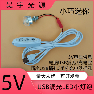 5VLED灯泡usb小射灯手工DIY小灯