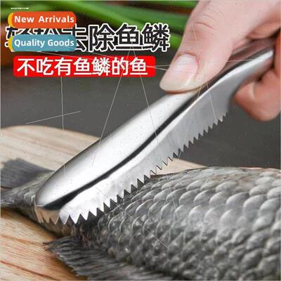 Oval Stainless Steel Fish Scaler Brush De-scaling Fish Killi