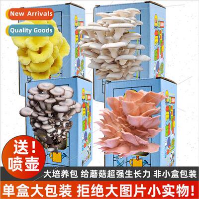 Mushroom Growing Box Home Grow Your Own Edible Mushroom Kits
