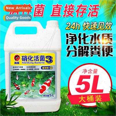 Dolphin aquarium nitrifying bacteria aquarium water purifier