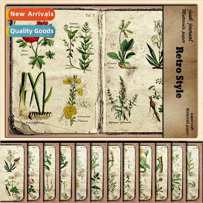 Vintage Ferns Illustrated Material Paper 12 pcs Botanical Pa