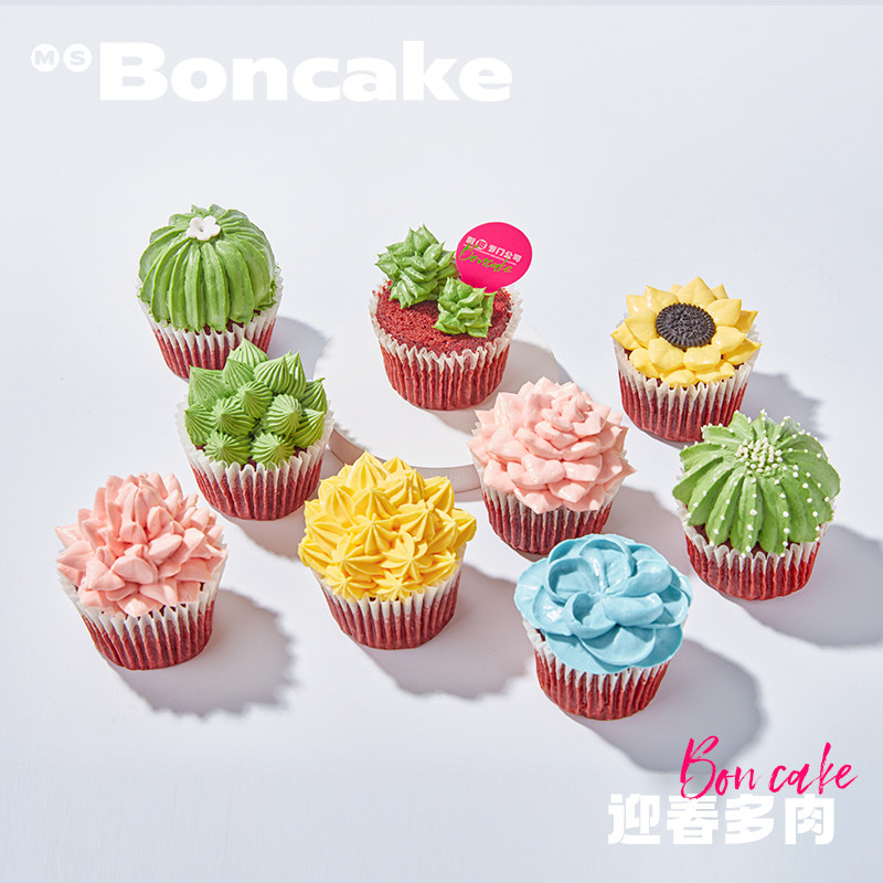 【迎春多肉】乳酪裱花学生党乐趣下午茶券北京上海同城MS BONCAKE_虎窝淘