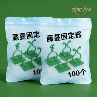轻松固定【绿萝固定器】贴墙力强包邮加厚可拆卸爬墙固定器固定夹