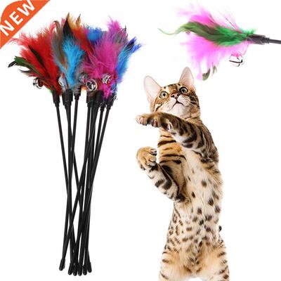 Cat Kitten Pet Toy Colorful Feather Short Rod Interactive St