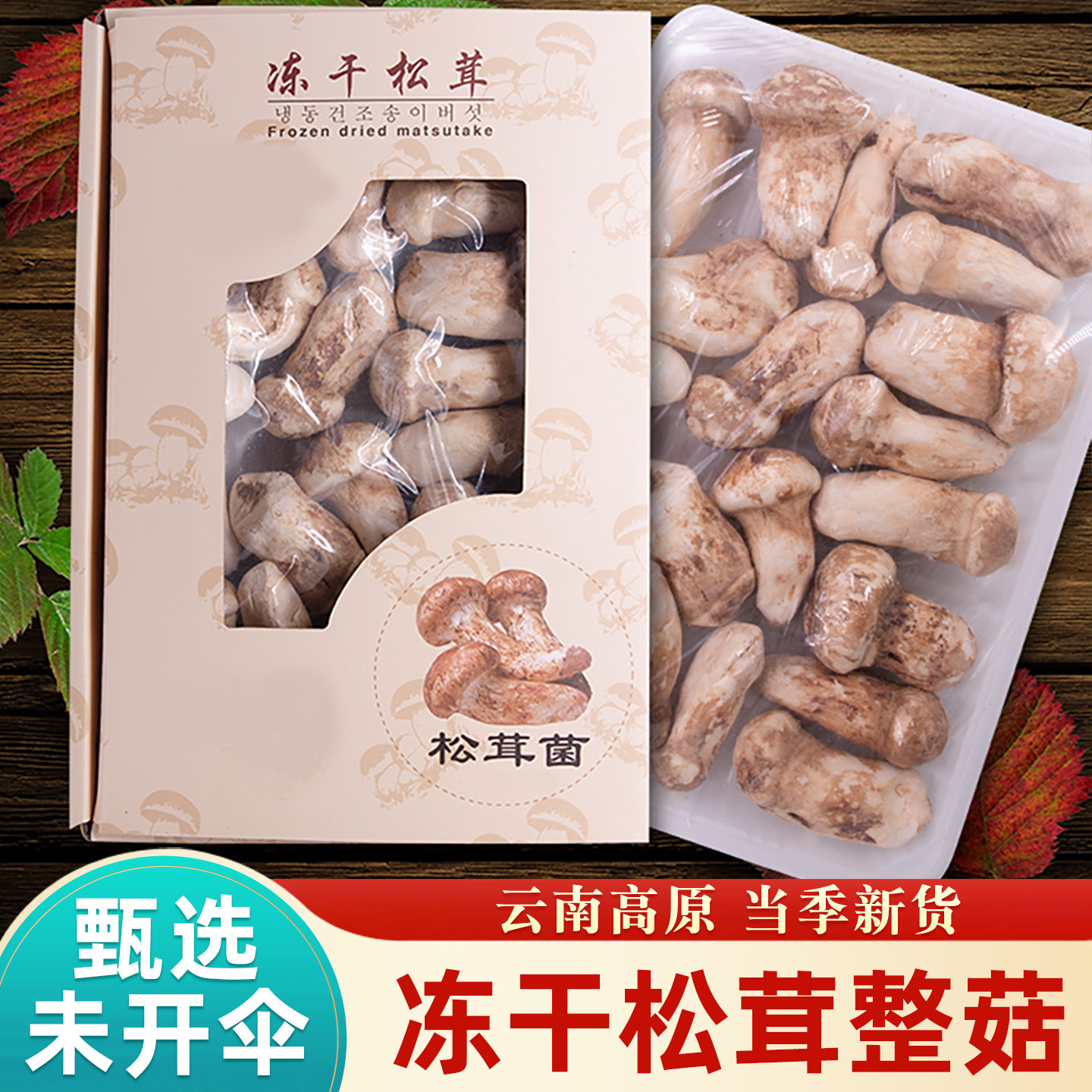 口口食冻干松茸整菇3-5cm云南特产野生松耸片干货菌菇煲汤料家用