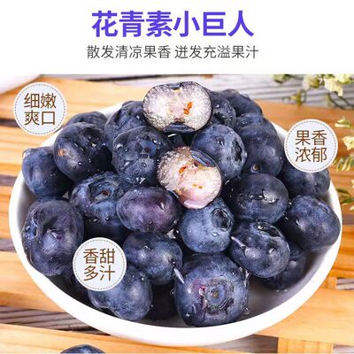 云南蓝莓孕妇宝宝辅水果护眼