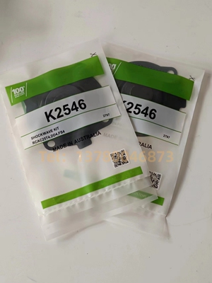 PRETTY GOYEN K2546脉冲阀膜片维修包RCAC25T4 CAC25DD4002膜片