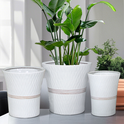 家用陶瓷大口径花盆发财树