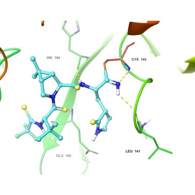 分子对接之共价对接 对接方法:薛定谔、MOE