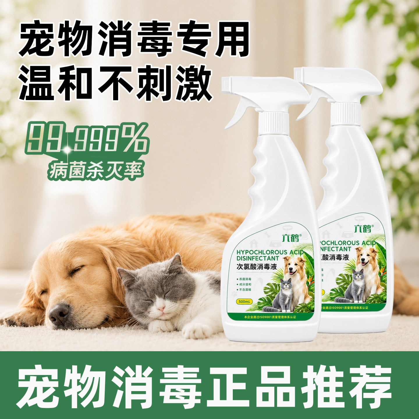次氯酸宠物消毒液杀菌喷雾室内狗狗猫咪专用去尿味真菌宠物除臭剂