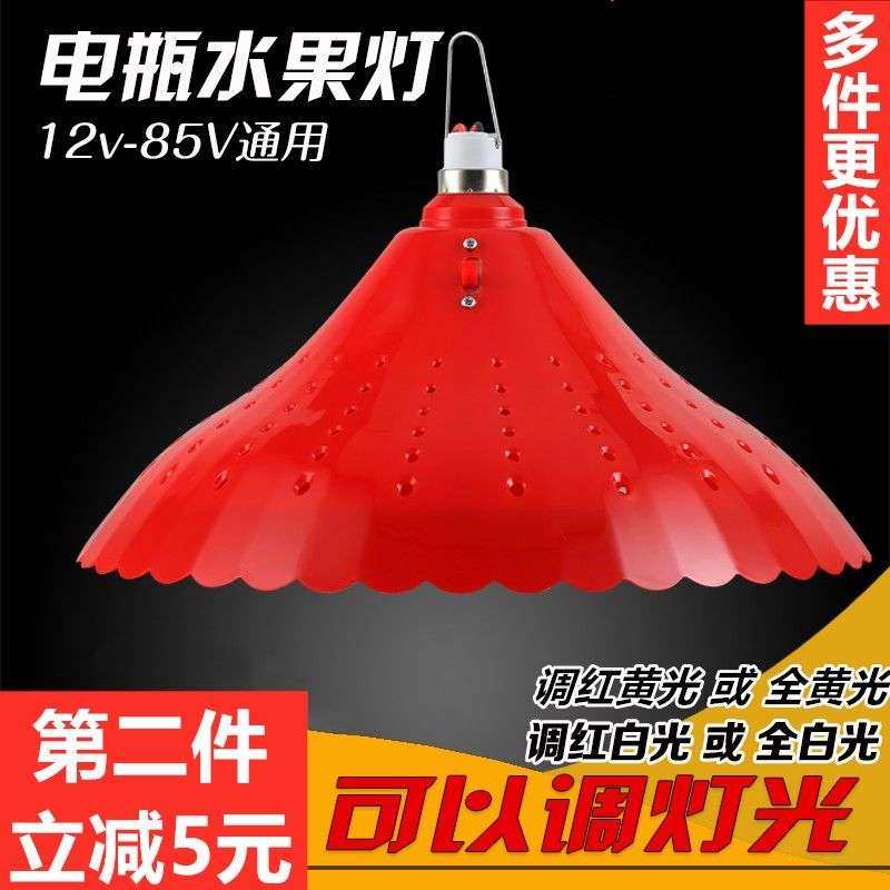 享新惠led猪肉生鲜灯低压12-85V夜市地摊可调光水果灯卤菜电瓶48V_虎窝淘