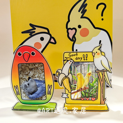 可爱卡通鹦鹉亚克力相框摆台