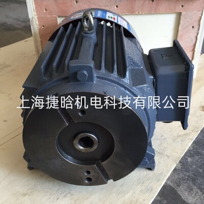 油泵电机组25SCY-Y132M-4 内插式油压马达 7.5KW三相异步电机