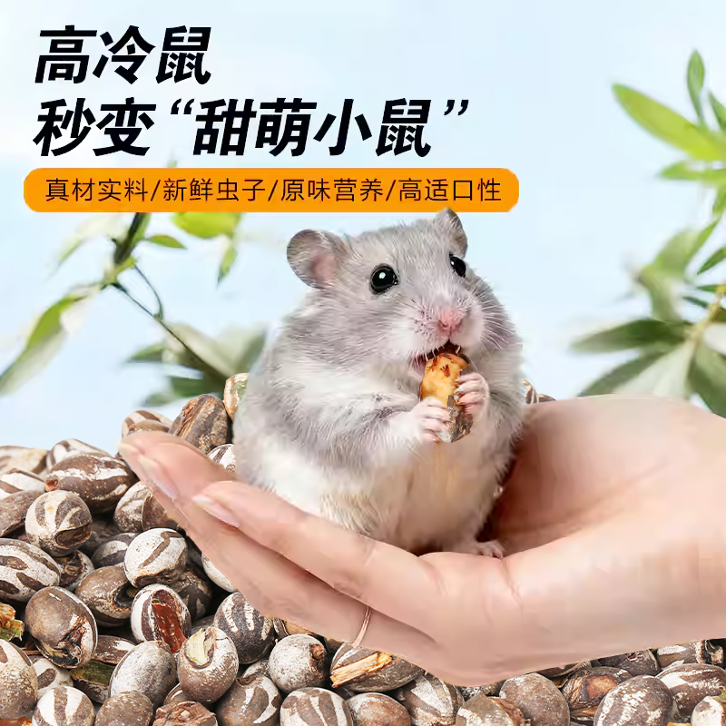 高适口性蜜袋鼯仓鼠粮食 坦克虫洋辣子花枝鼠活虫金丝熊鼠类零食