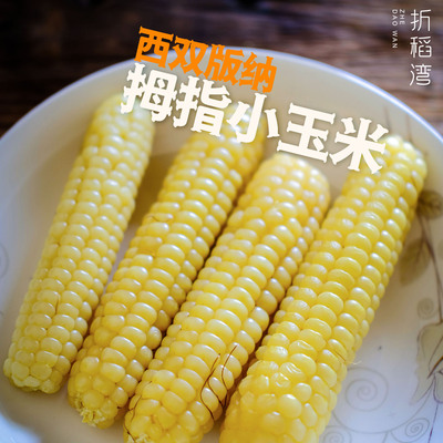 西双版纳老品种拇指玉米鲜食