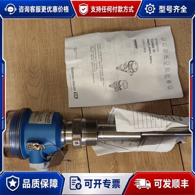 议价E+H Soliphant T FTM20-AN42A音可维修