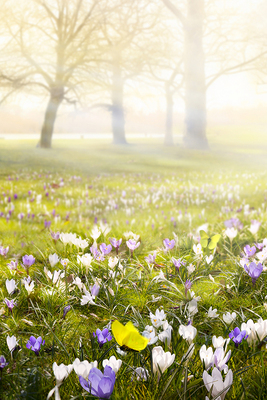 【春花】CANDLEWORKS香薰精油