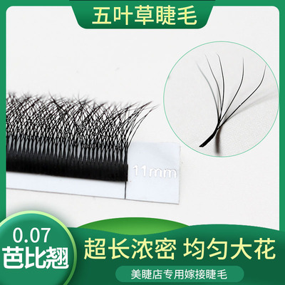 欧美五叶草超卷翘快速嫁接浓密