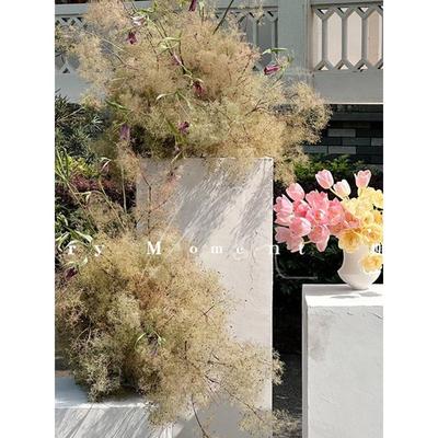 烟花雾中的梦中情人干花家装天长地久花摄影道具花软瓶插花装饰品