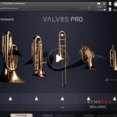 温暖圆润情感铜管音色Valves音源28g 独奏+合奏