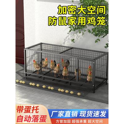 鸡笼子家用室外特大号养殖笼加密芦丁鸡笼养鸡家禽笼铁丝网鸭鹅笼