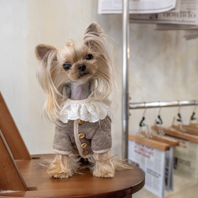 GINGERAIN 夹棉小外套系扣实用马尔济斯衣服约克夏小型犬保暖卫衣