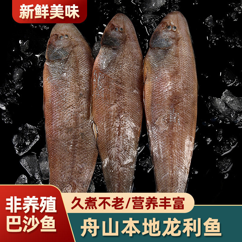 舟山特产 海捕新鲜龙利鱼玉秃肉塌鱼鲜活海鲜码头直发 非巴沙鱼肉