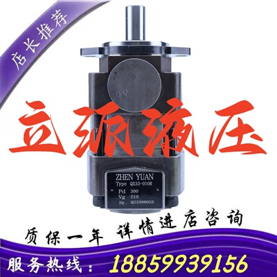 德国布赫油泵QX QXV QXEH QXM QXT QT液压油泵 BUCHER齿轮泵