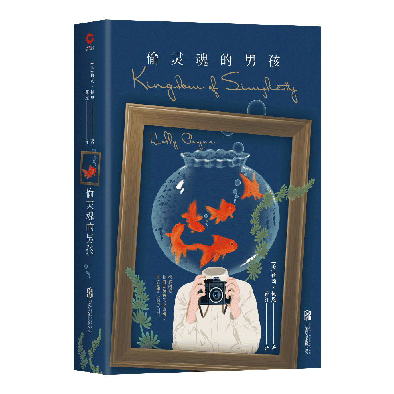 正版书籍 偷灵魂的男孩（2019精装）[美] 荷莉•佩恩 现代当代文学外国文学长篇小说散文励志小说小说励志图书