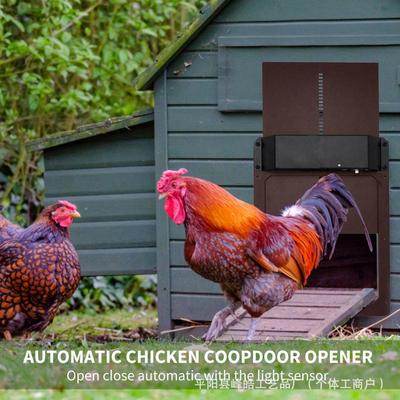 AutoticChicenCopDor全新二代