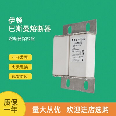 全新快速熔断器保险170M1805 170M1806 170M1807 170M1808