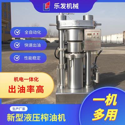 小型芝麻榨油机商用全自动核桃压油机设备厂家安装教学液压榨油机