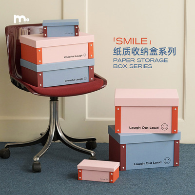 彩色收纳箱家用高颜值带盖