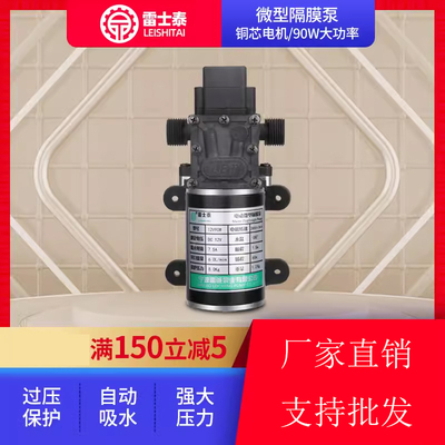 雷士泰90w微型隔膜泵自吸压力帮浦增压泵小型水泵 直流12V24V大功