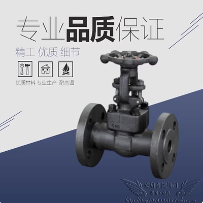 Z41Y-100I高温蒸汽法兰闸阀