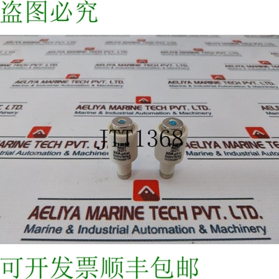 原装供应批量 5X Tirh R021 保险丝链 20A GG/GL 500V/50KA