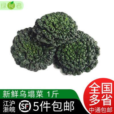 新鲜塌菜500g 农家自种蔬菜乌塌菜塔菜塌棵菜塌地松黑菜 5件包邮