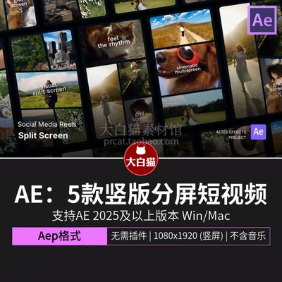 ae分屏模板5款5秒商务广告丝滑转场竖版开场展示动画短视频Ae模板