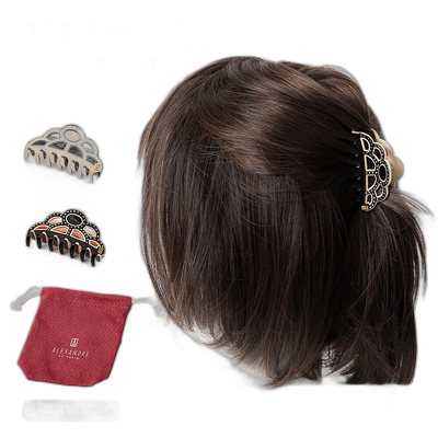 ALEXANDRE DE PARIS  发饰发夹发卡 ACCS-16163-02