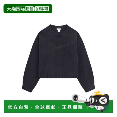 日本直邮GUESS W4BR48Z3JG0 Guess Originals 复古图案毛衣 (JBLK
