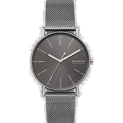 【日本直邮】Skagen诗格恩 手表 SIGNATUR SKW6577 男  灰正品