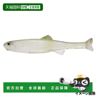 日本直邮Imakatsu Worm Huddle Fat Fly Elastomer 2.8 真彩 S-20