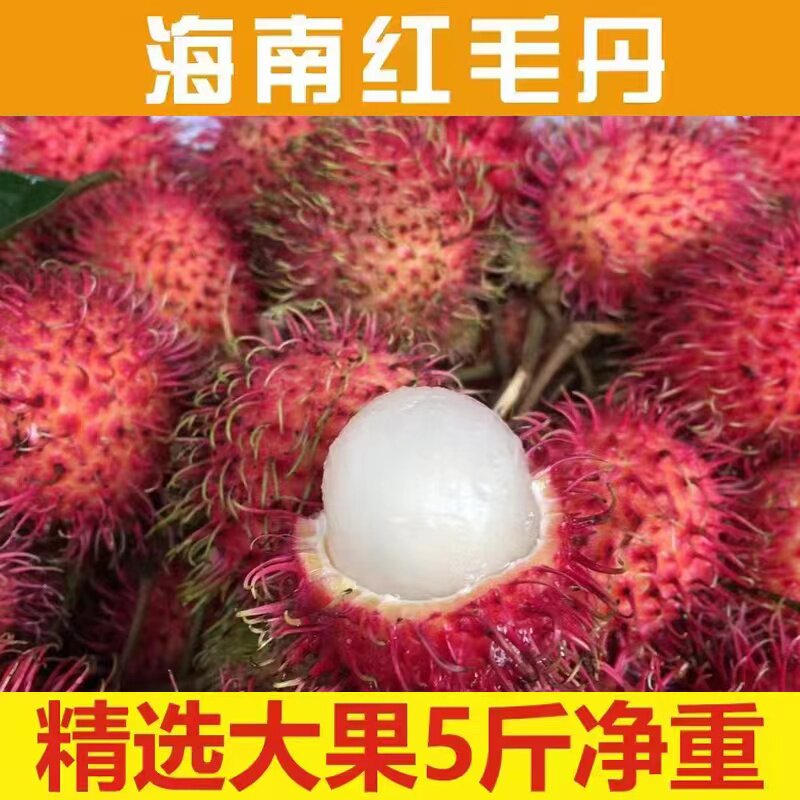 现货海南红毛丹5斤整箱现摘新鲜水果包邮毛荔枝孕妇当季水果甜