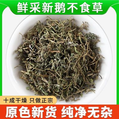 鹅不食草原材料正宗新货鹅不吃草