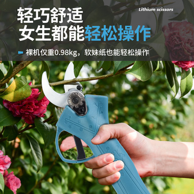 Electricprungshea,wd